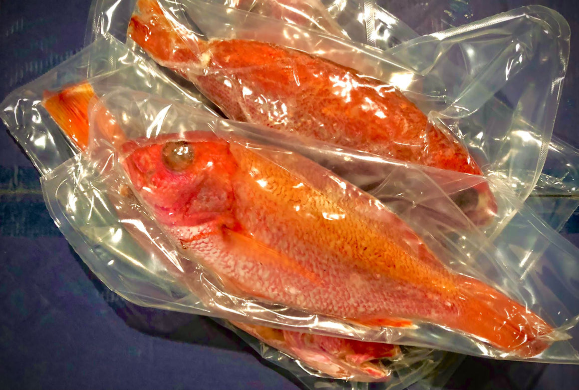 SEAFOOD – Shorelinez