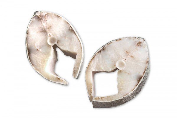 Sailfish whole/ Steaks (cut) - frozen – Shorelinez